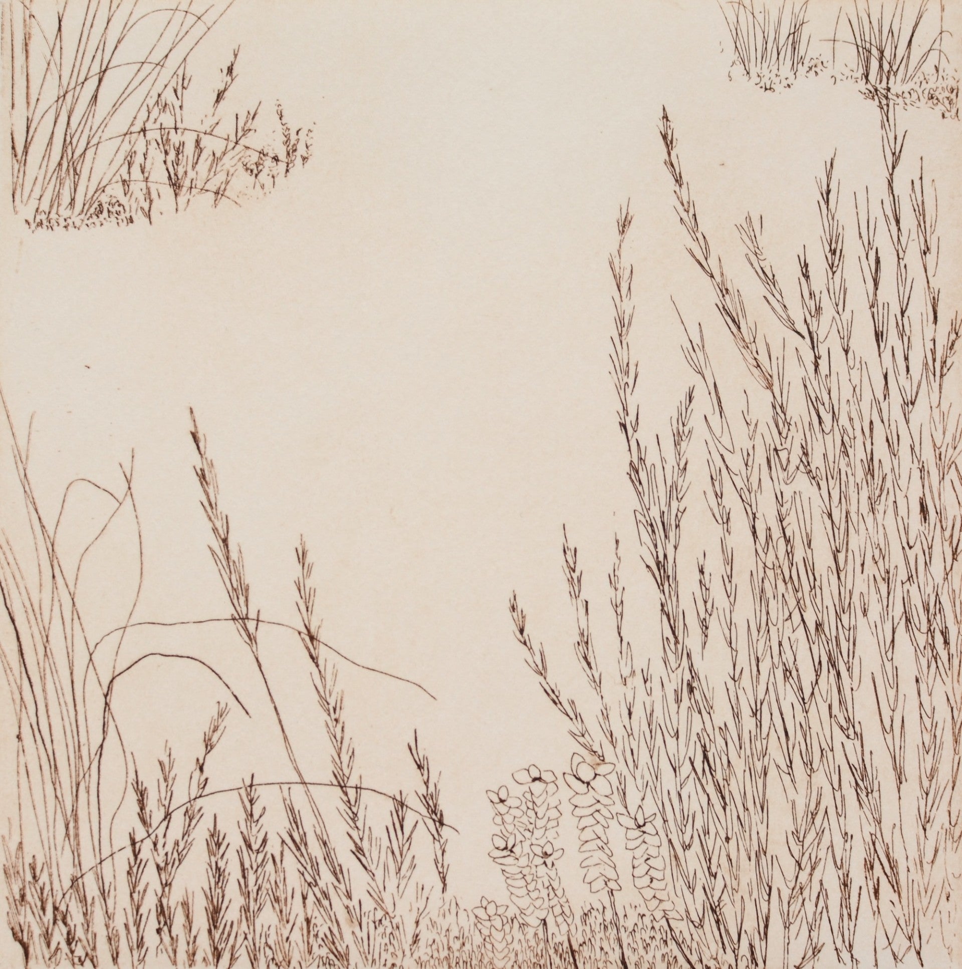 Alpine Study I – Te Atamira