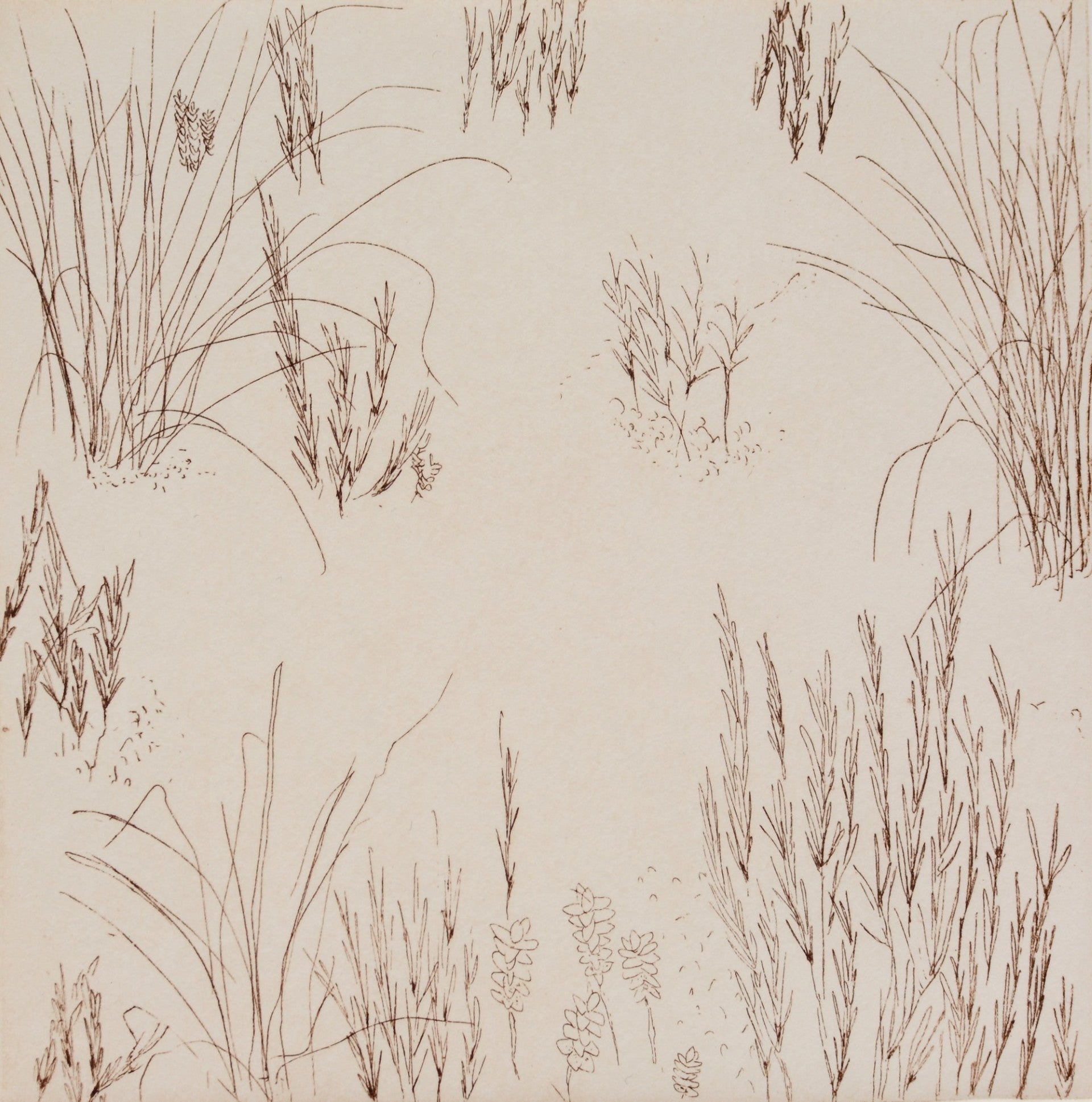 Alpine Study II – Te Atamira